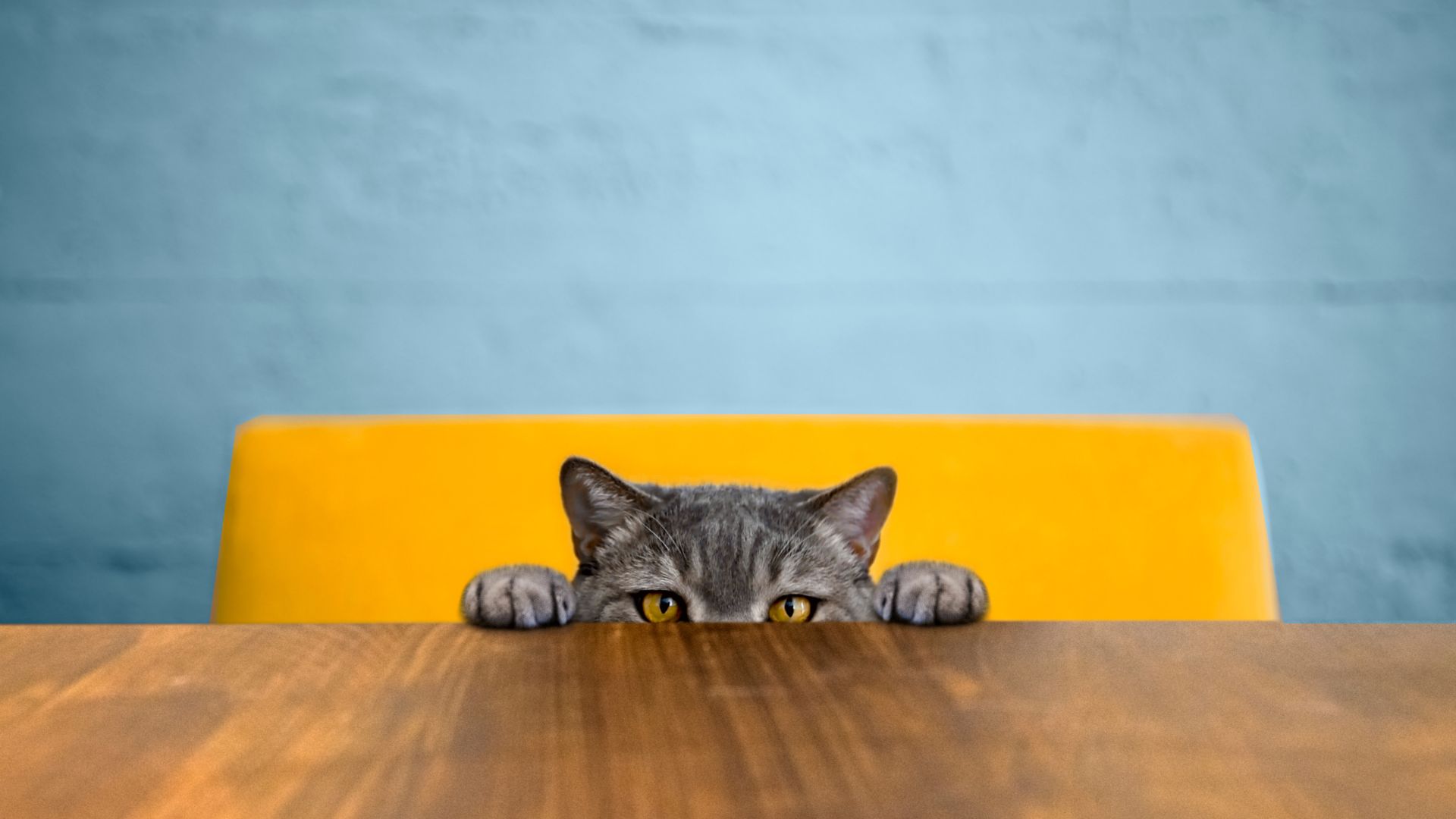 Free trial of Account Based Advertising Platform - INZYNK